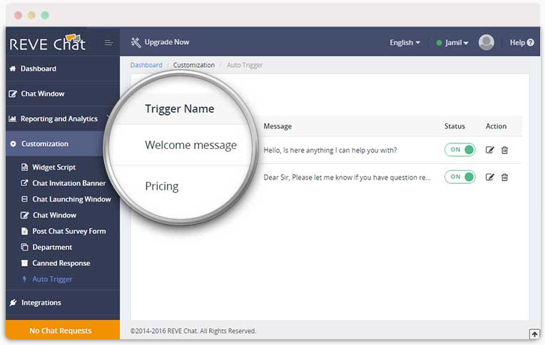 REVE Chat : Best Live Chat Software Online | Website Chat Software