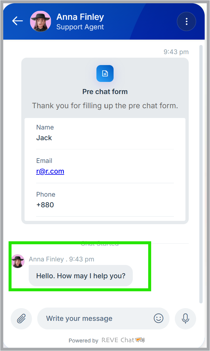 Custom Message | REVE Chat